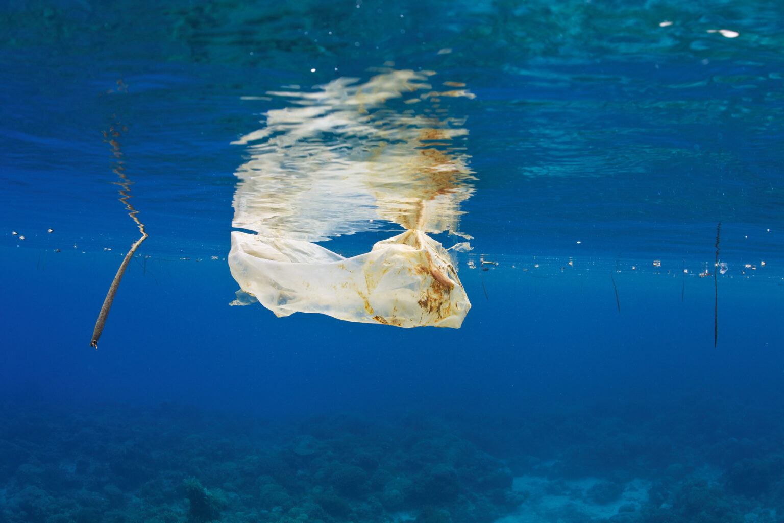 Vietnam to Ban Plastic Scrap Imports by 2025